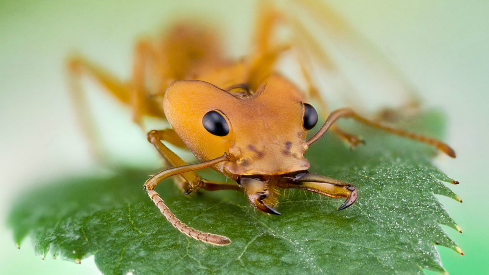 Fotografia – Grupo de Pesquisa em Jornalismo On-line – GJOL